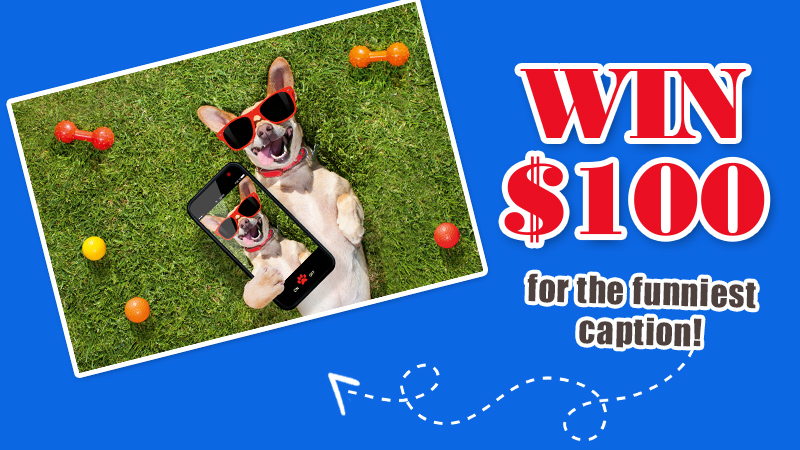 Funny Caption Contest | Reader's Digest Asia