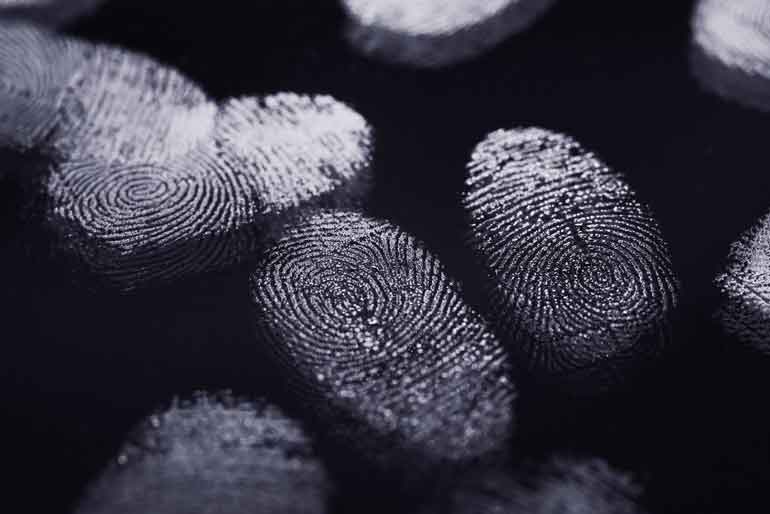 12 surprising facts about fingerprints, including why we even have them ...